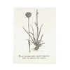 ***Each Flower Must Grow Botanical Handmade Paper Print – Sugarboo & Co