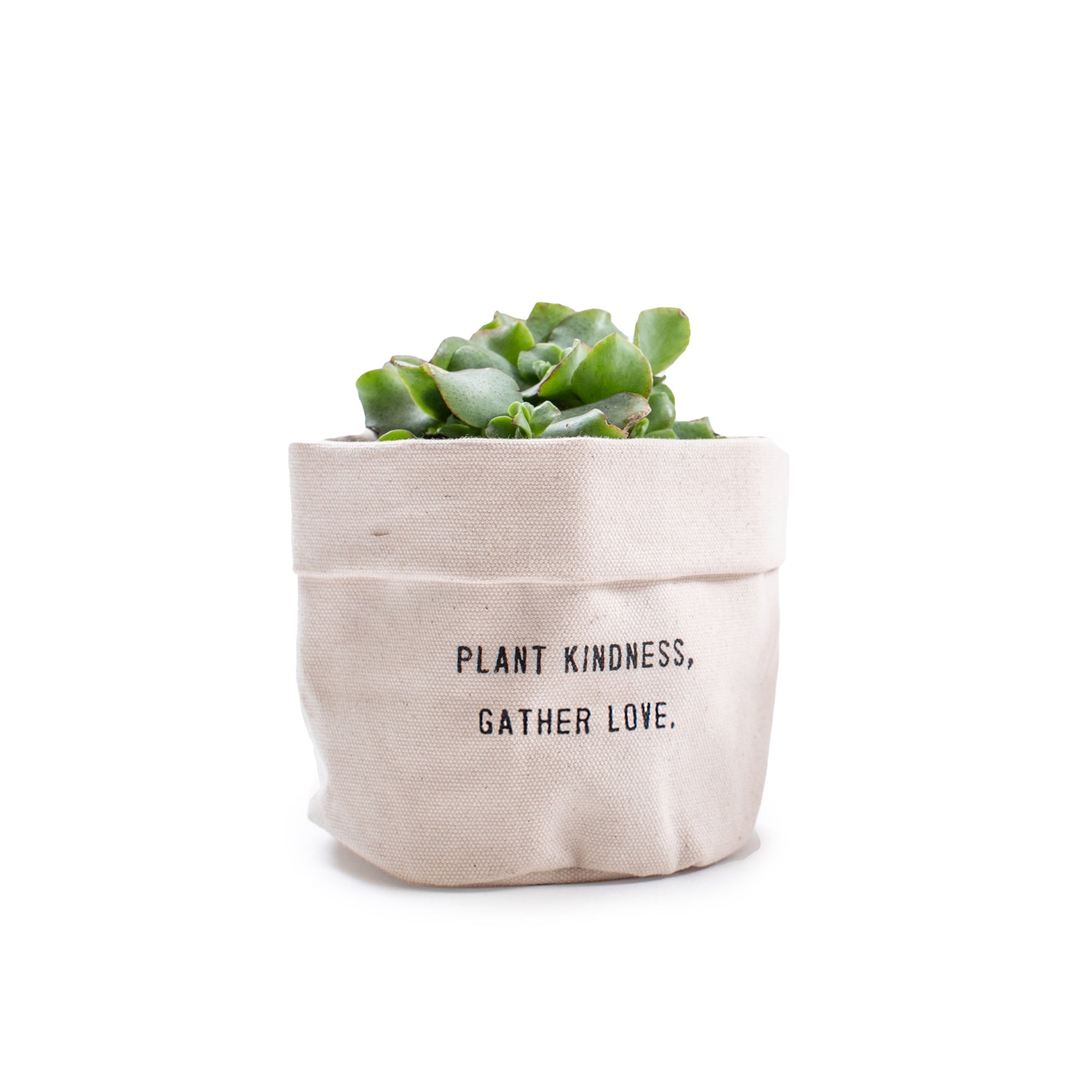 ***Plant Kindness Gather Love - Small Canvas Planter – Sugarboo & Co