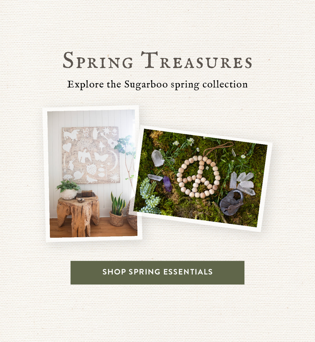 Modern Organic Home Decor | Sugarboo & Co.