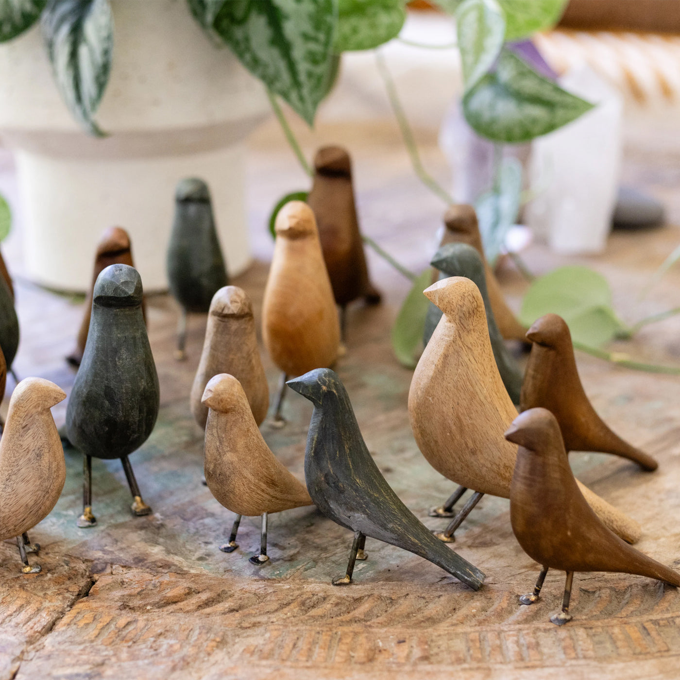 Home – Sugarboo & Co