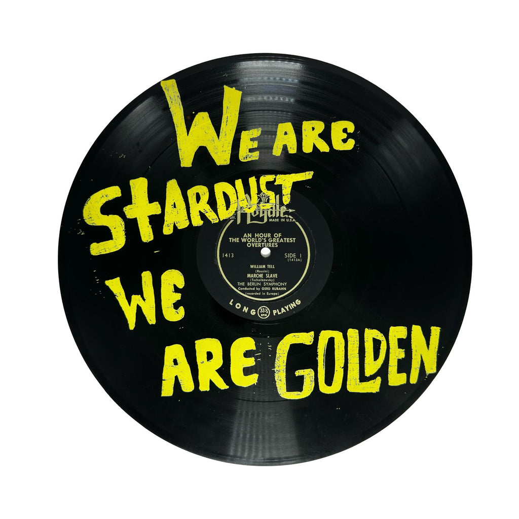 We Are Stardust We Are Golden Vinyl Record – Sugarboo & Co